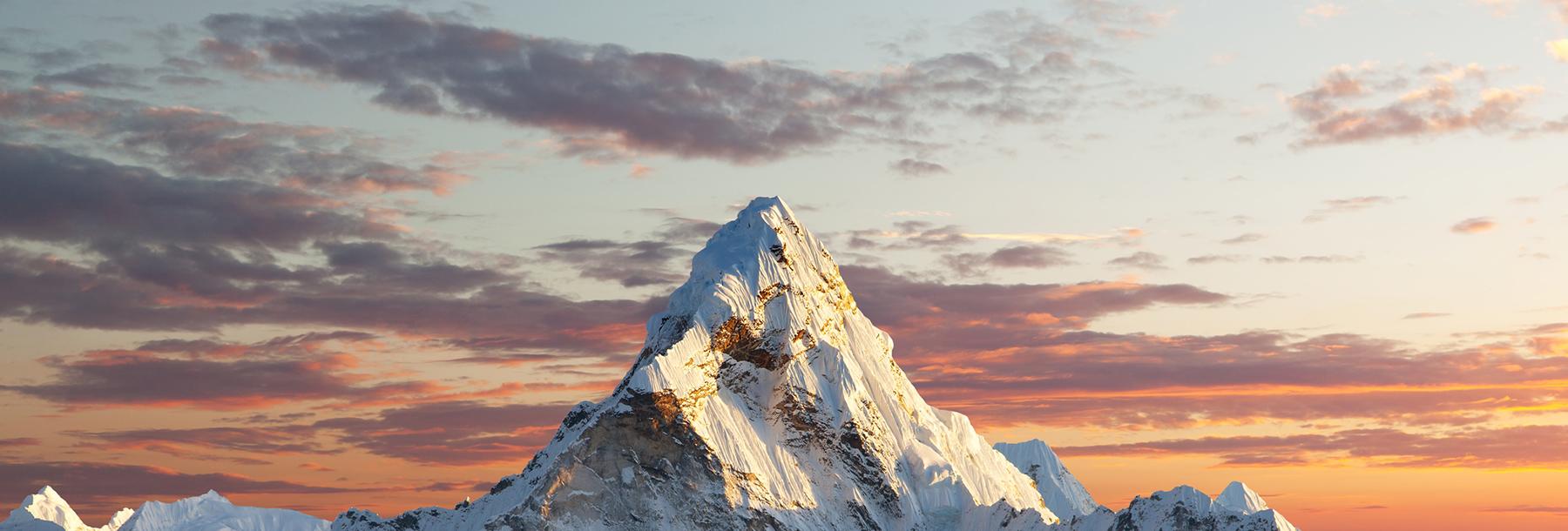 Comentum | Custom Web Application Development | Custom Database ...