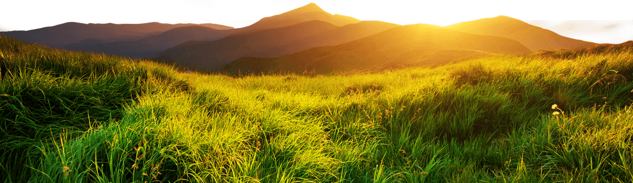 Comentum | Custom Web Application Development | Custom Database ...