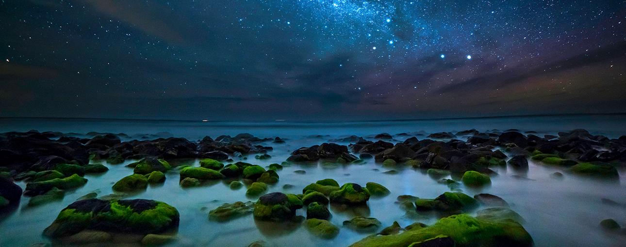 Comentum | Custom Web Application Development | Custom Database ...