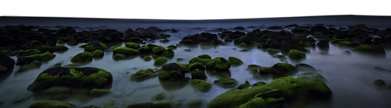 Comentum | Custom Web Application Development | Custom Database ...